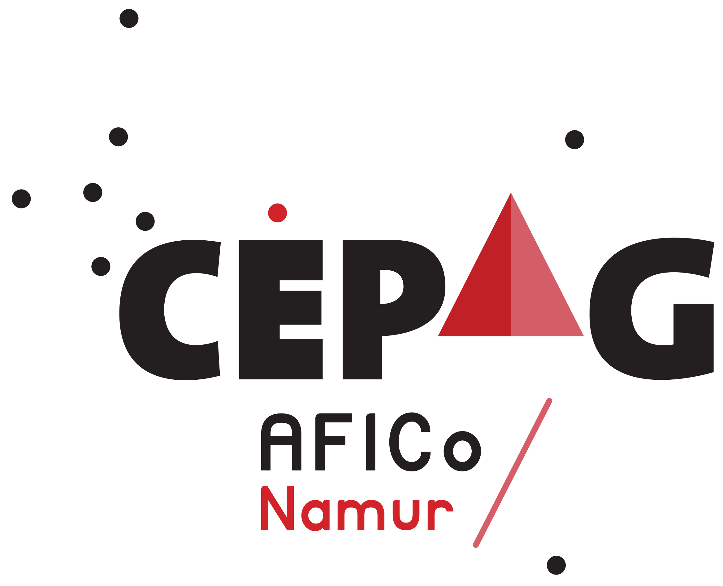 7 - AFICo asbl - CISP